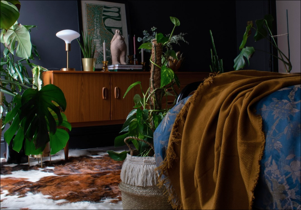 Biophilic Design - Bringing The Outside In – COAT Paints