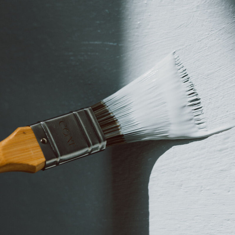 Flat Matt Paint | High-Grade Interior Wall Paint | COAT Paints