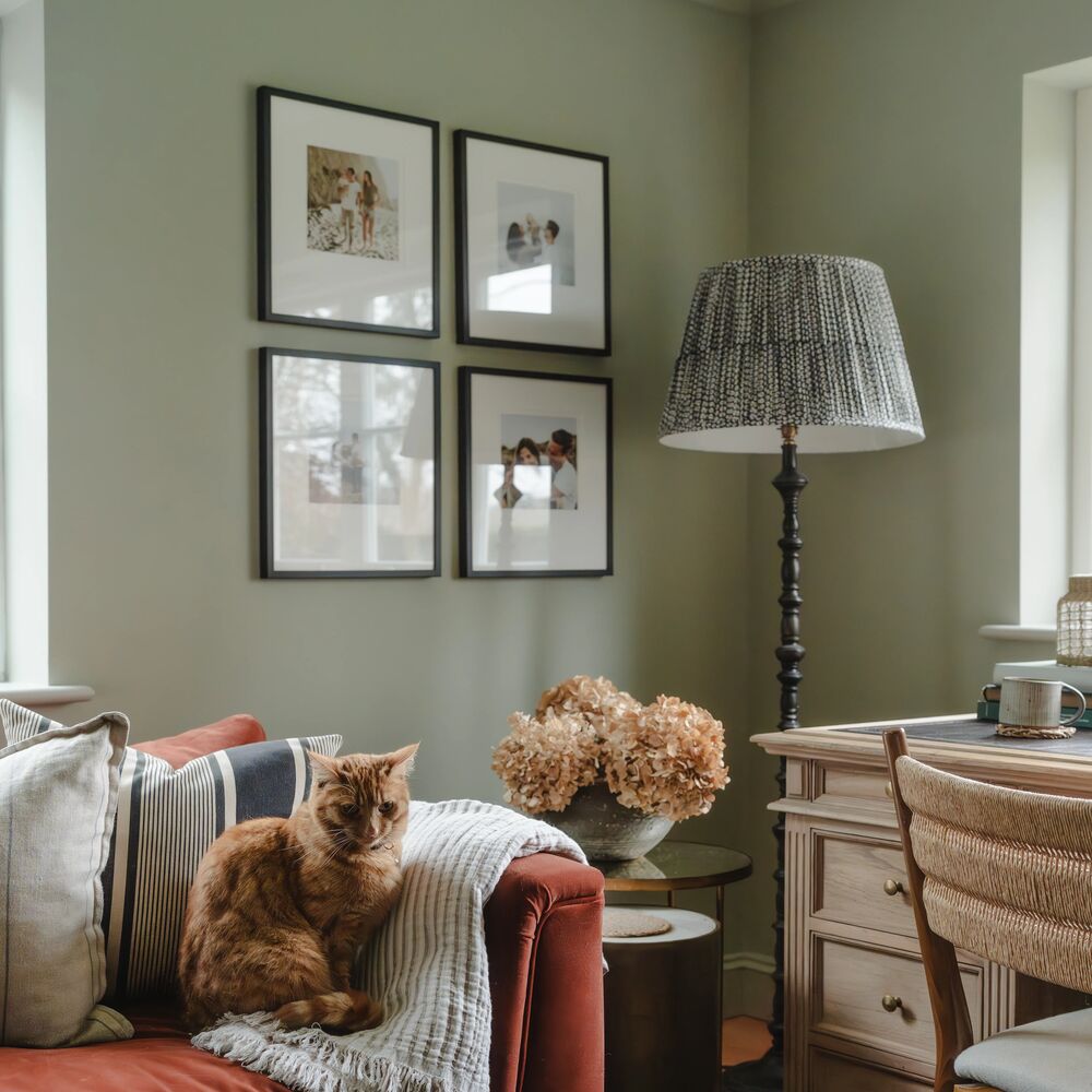 Buy Warm Grey Green Paint (Next Tuesday) - Flat Matt – COAT Paints