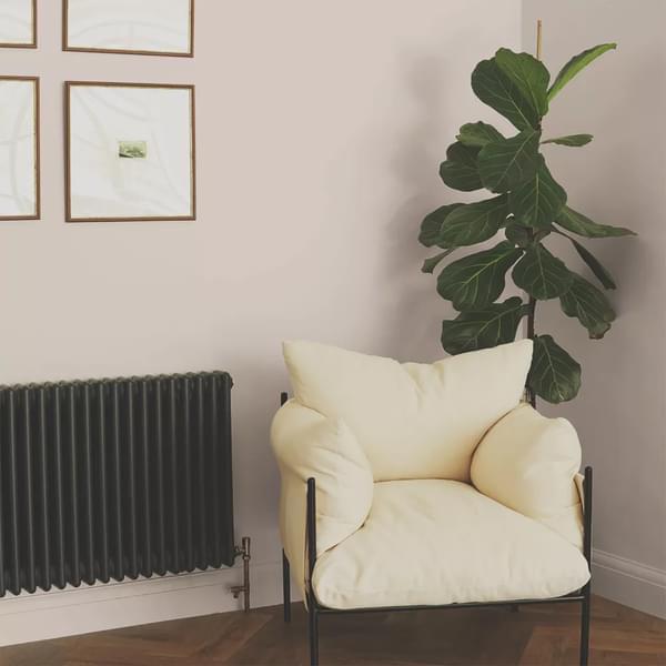 Buy Pale Plaster Pink Paint - Flat Matt (Kimchee Fan) – COAT Paints