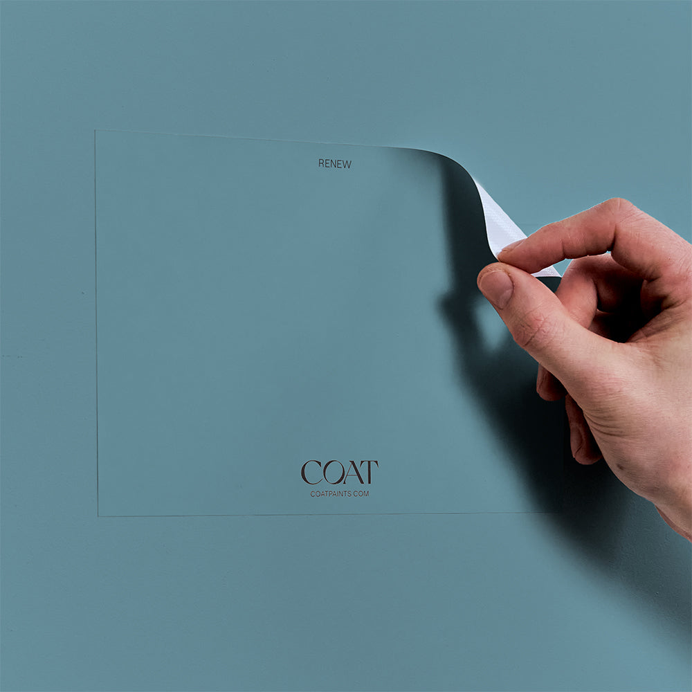 Buy Teal Blue Sample (Renew Sample) - 100% Accurate Colour – COAT Paints