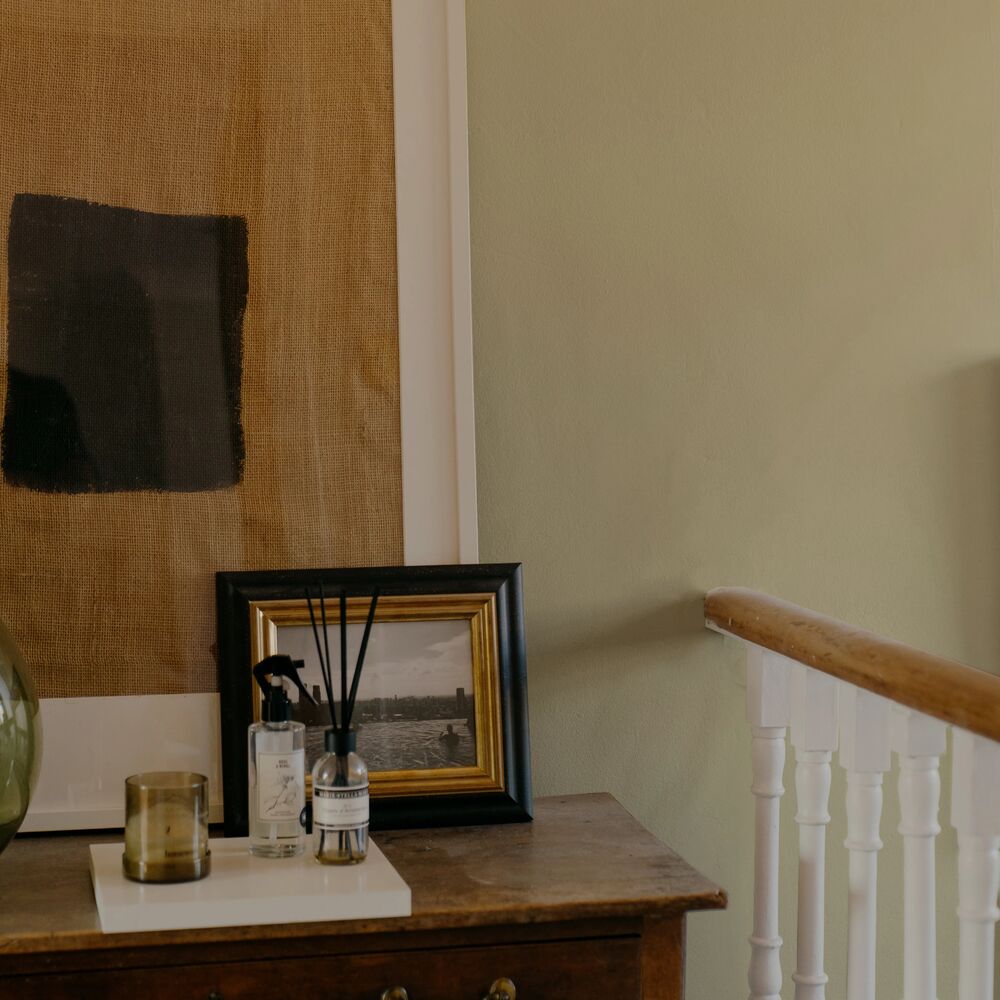 Buy Light Olive Green Paint (Ode to Toad) - Flat Matt – COAT Paints