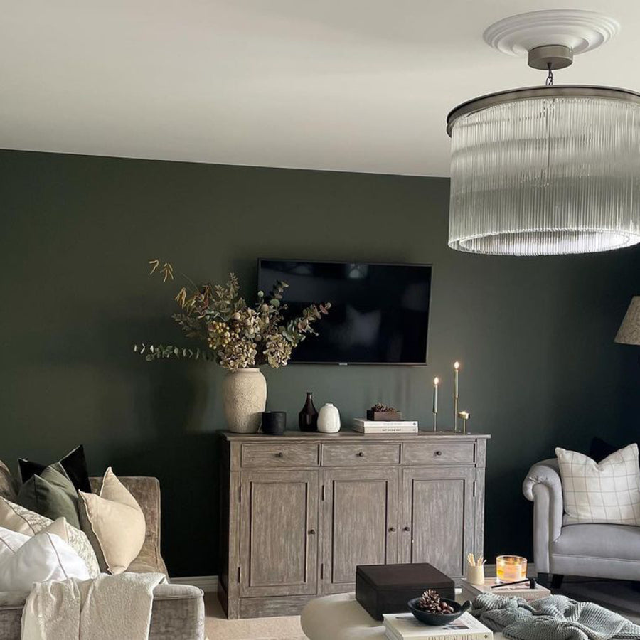 Buy Dark Olive Green Paint (Nomad) - Flat Matt – COAT Paints