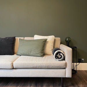 Buy Dark Olive Green Paint (Nomad) - Flat Matt – COAT Paints