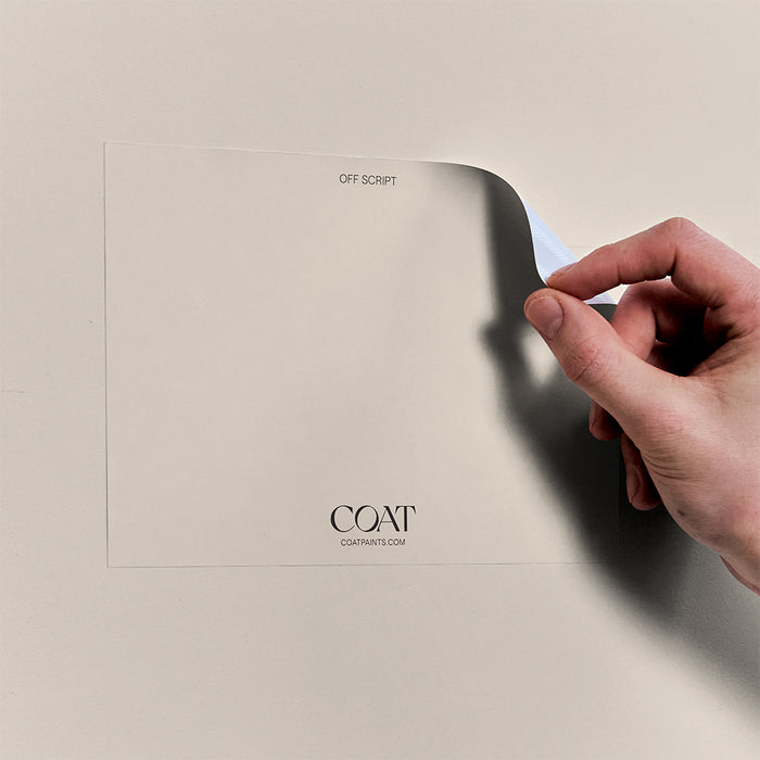 Buy Beige Off-White Paint (Off Script) - Flat Matt – COAT Paints