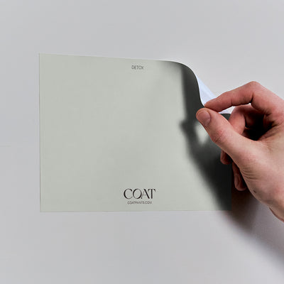 Light Green Paint Sample Pack | Peel & Stick Samples | COAT Paints