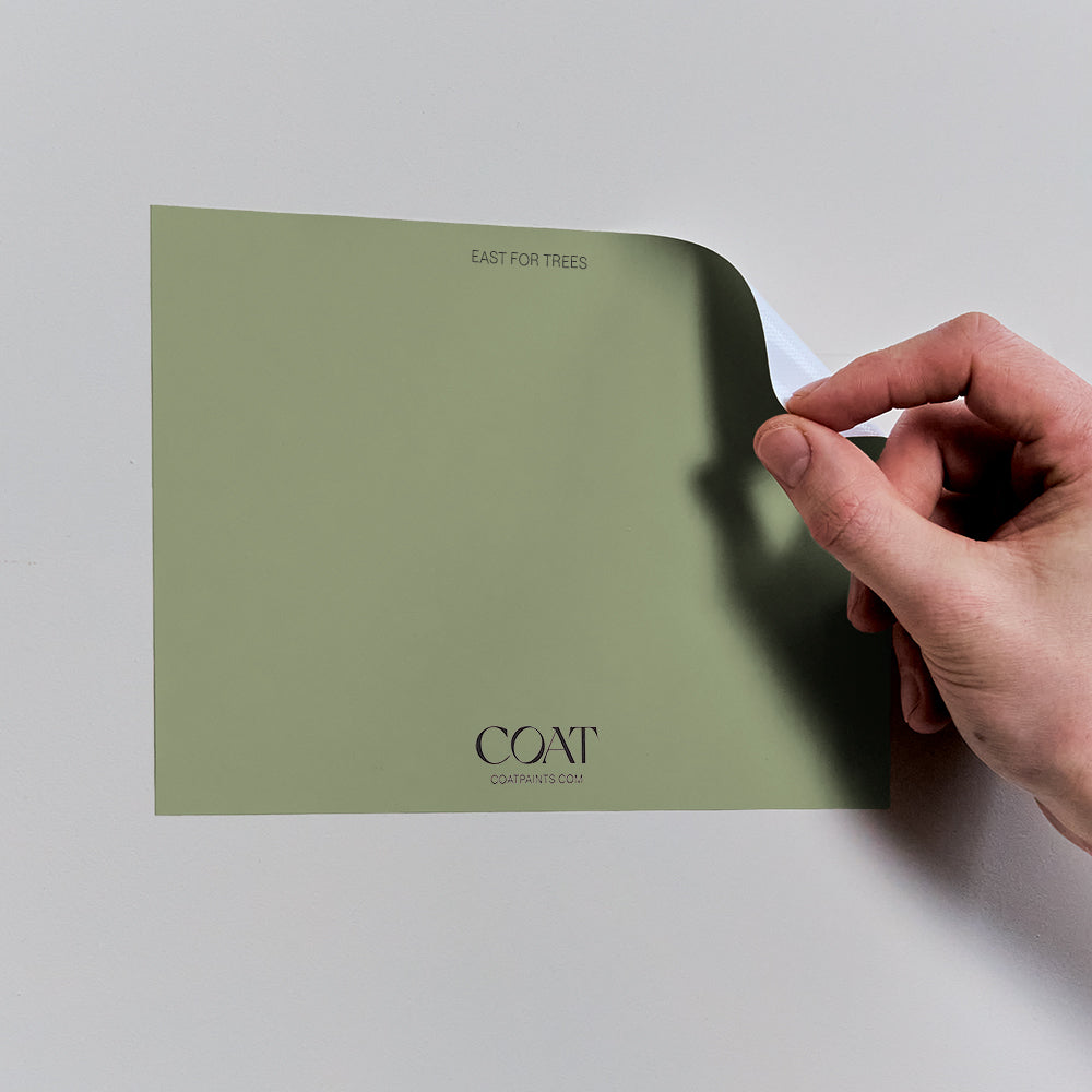 Mid Green Paint Sample Pack | Peel & Stick Samples | COAT Paints