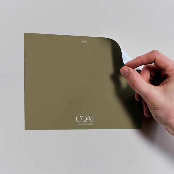 The West Facing Colours Sample Pack - Luxury Eco Paint Paints – COAT Paints