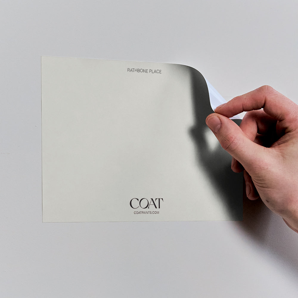 The Ultimate Neutral Sample Pack | Peel & Stick Samples | COAT Paints