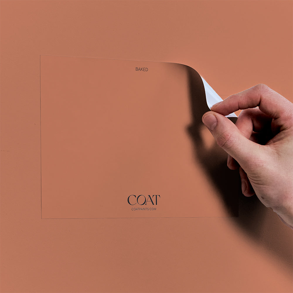 Terra Paint Sample Pack | Peel & Stick Samples | COAT Paints