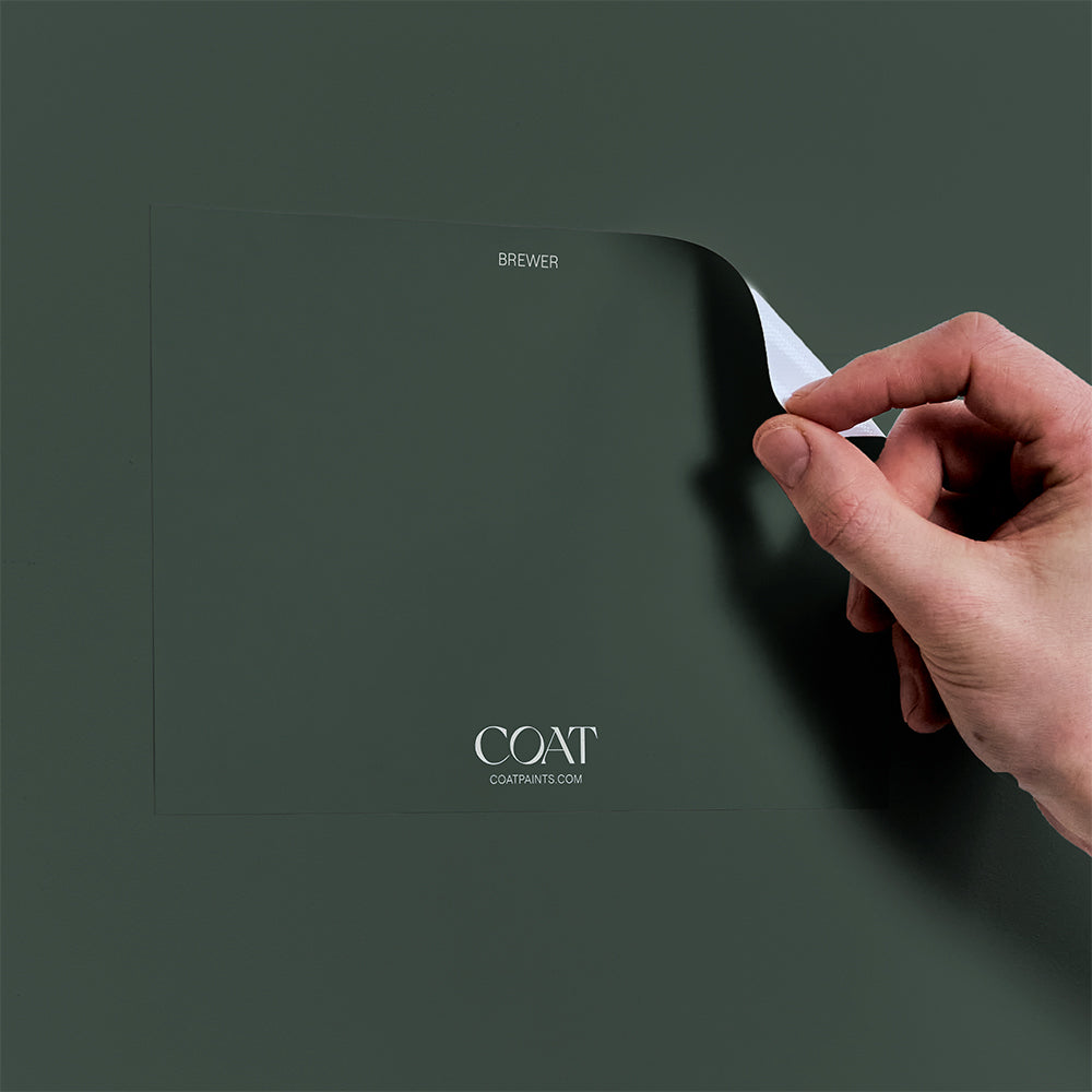 Buy Dark Cool Green Sample (Brewer Sample) - 100% Accurate Colour ...