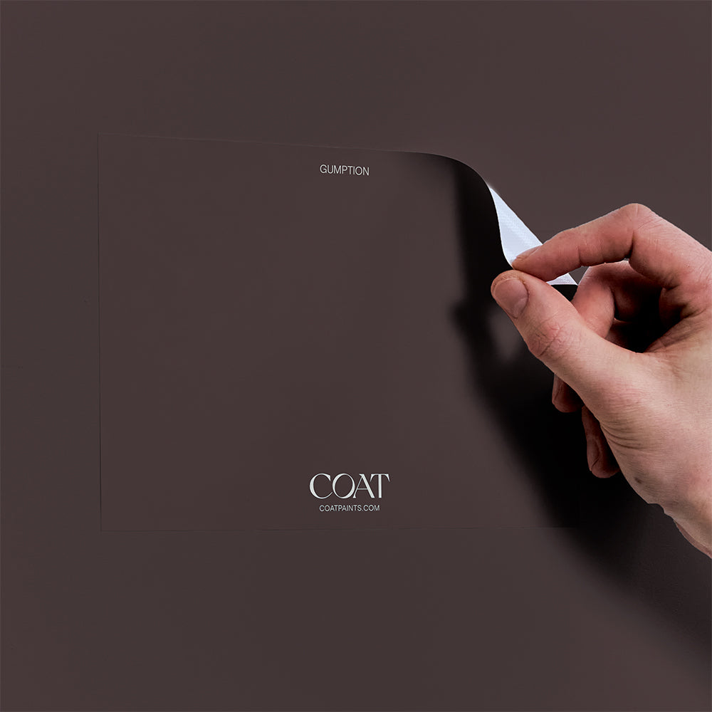 Buy Dark Taupe Sample (Gumption Sample) - 100% Accurate Colour – COAT ...