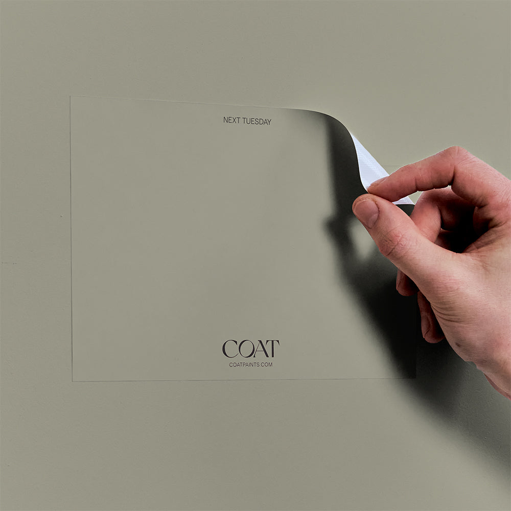 Buy Warm Grey Green Sample (Next Tuesday Sample) - 100% Accurate Colour ...