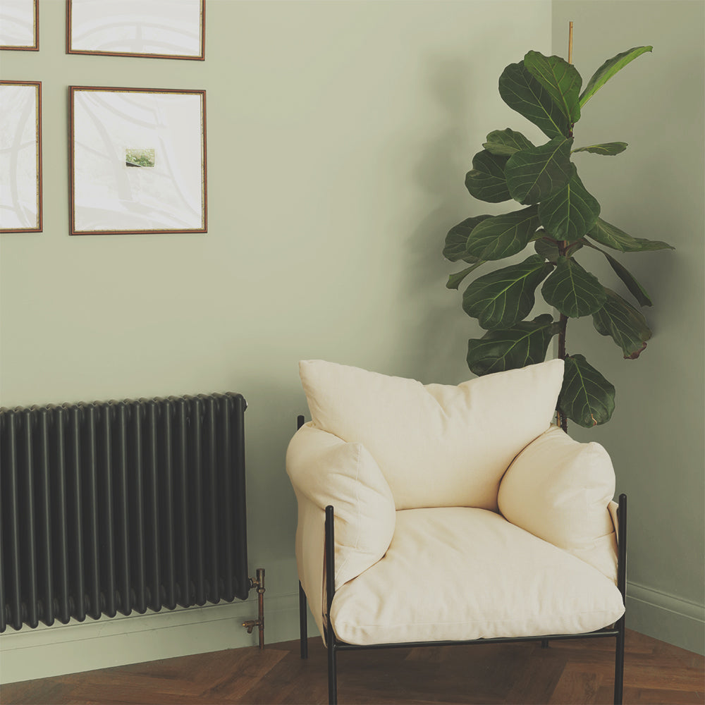 Buy Pale Beige Green Paint - Flat Matt (Hello Vera) – COAT Paints