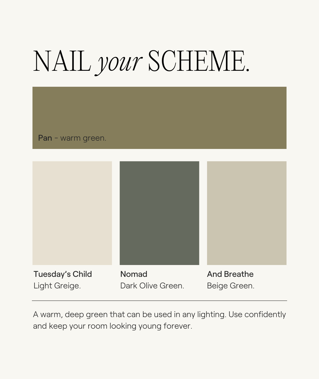 Buy Rich Olive Green Paint (Pan) - Flat Matt – COAT Paints