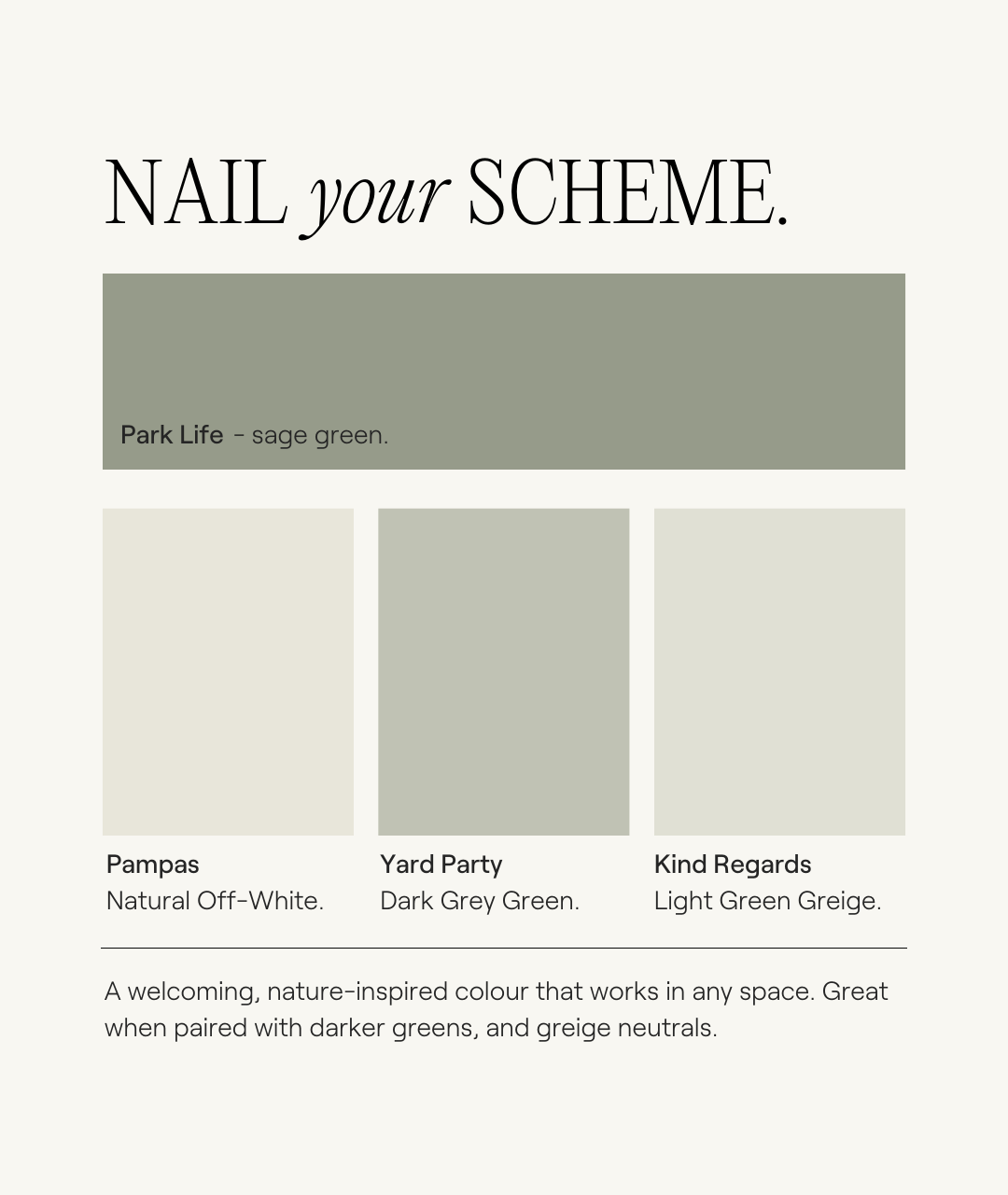 Buy Deep Sage Green Paint (Park Life) - Flat Matt Claypaint – COAT Paints