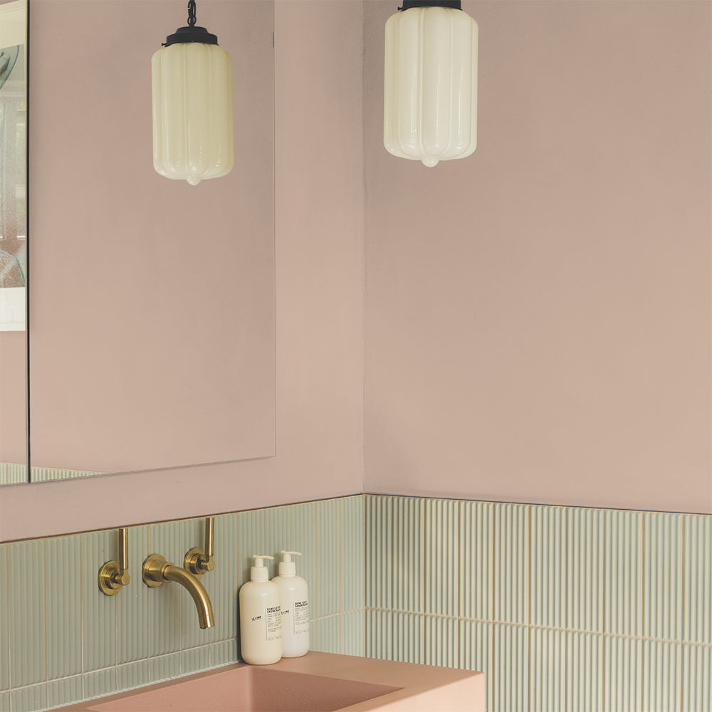 Buy Plaster Paint - Soft Sheen (Factor Fifty) – COAT Paints