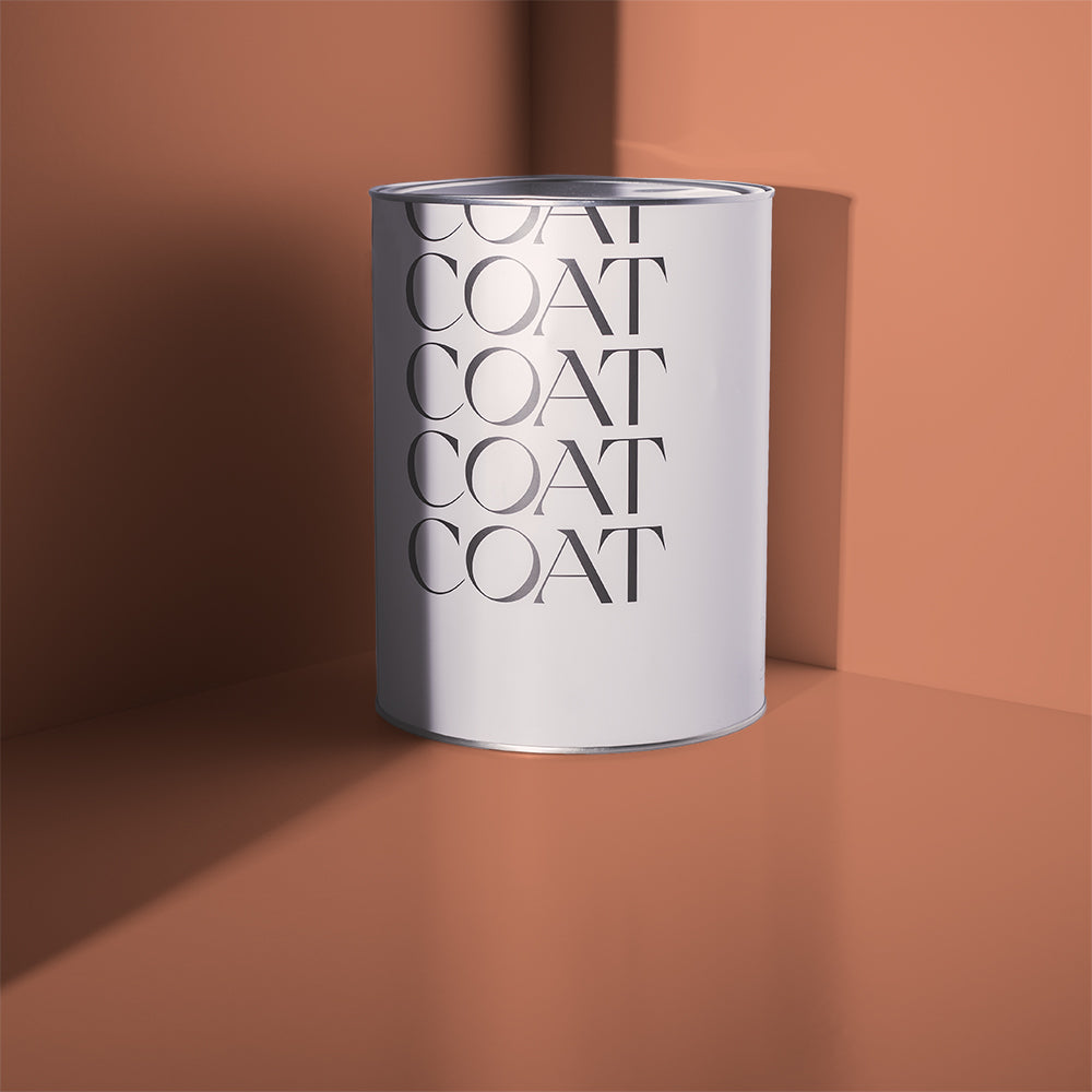 Buy Terracotta Paint - Flat Matt (Baked) – COAT Paints