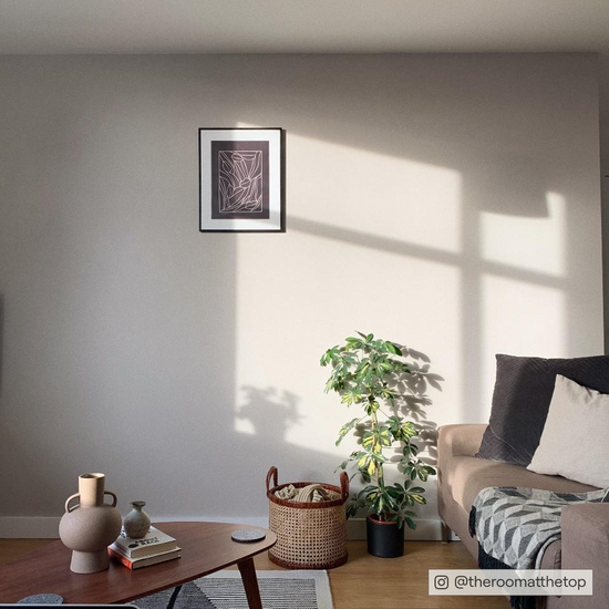 Climate Positive Paint | High-Grade Interior & Exterior Paint | COAT ...